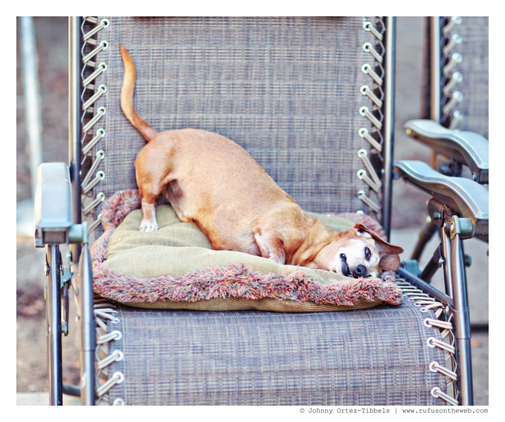 Classic Rufus | rufusontheweb