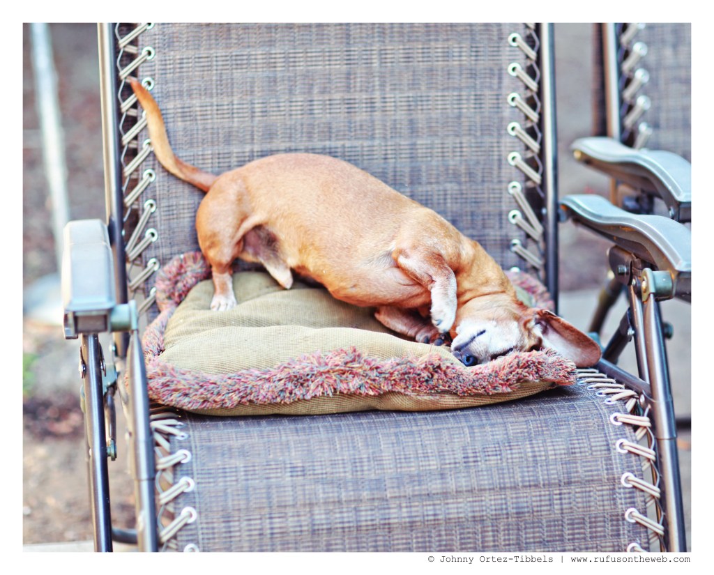 Classic Rufus | rufusontheweb