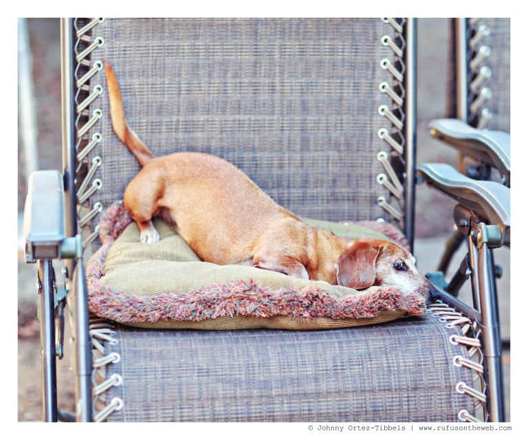 Classic Rufus | rufusontheweb