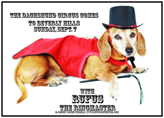 Rufus’ party invite | rufusontheweb