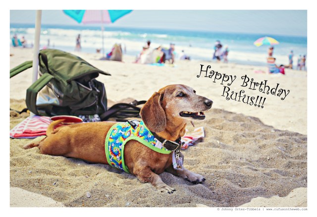 Happy Birthday Rufus!!! | rufusontheweb
