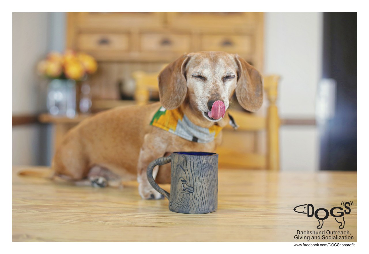 Early dachshund special | rufusontheweb