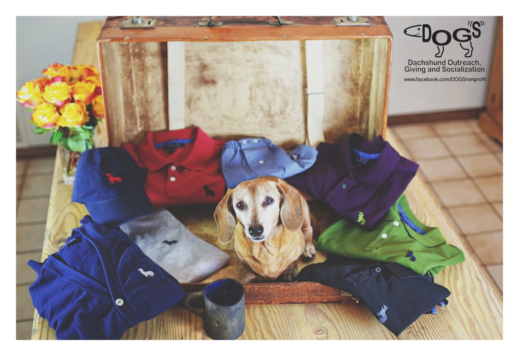 Early dachshund special | rufusontheweb