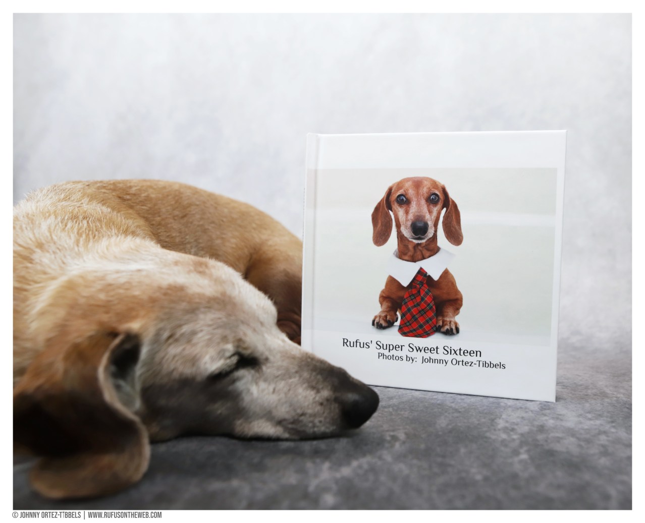 Rufus’ Super Sweet Sixteen Book | rufusontheweb